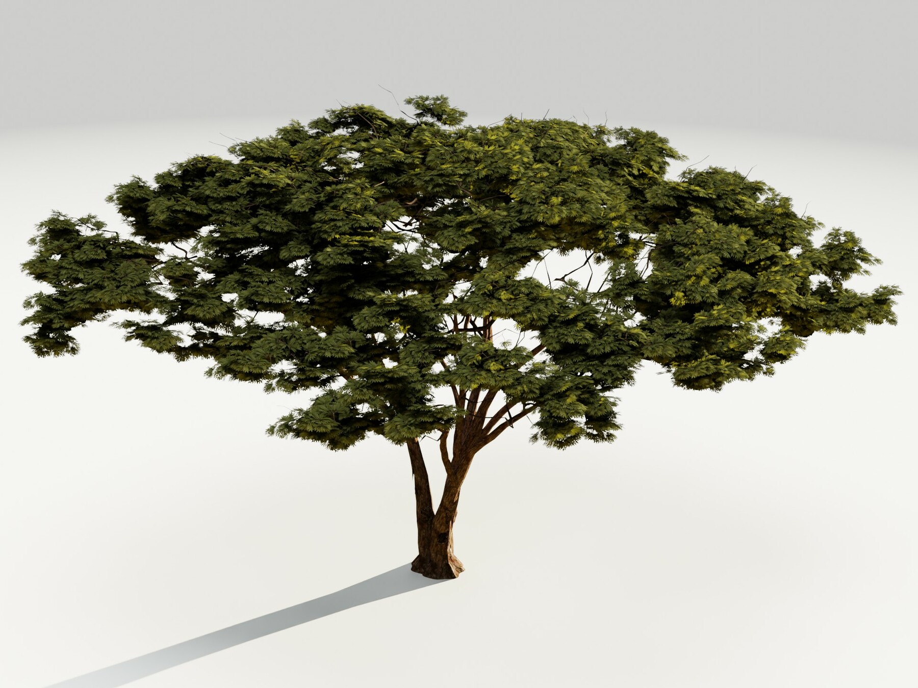 ArtStation - Large Trees Lowpoly Collection | Resources