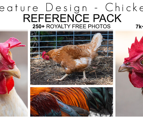 ArtStation - Creature Design Reference Pack - Chickens - 250+ Royalty ...