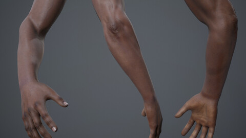 ArtStation - FPS First Person Arms - 01 | Game Assets