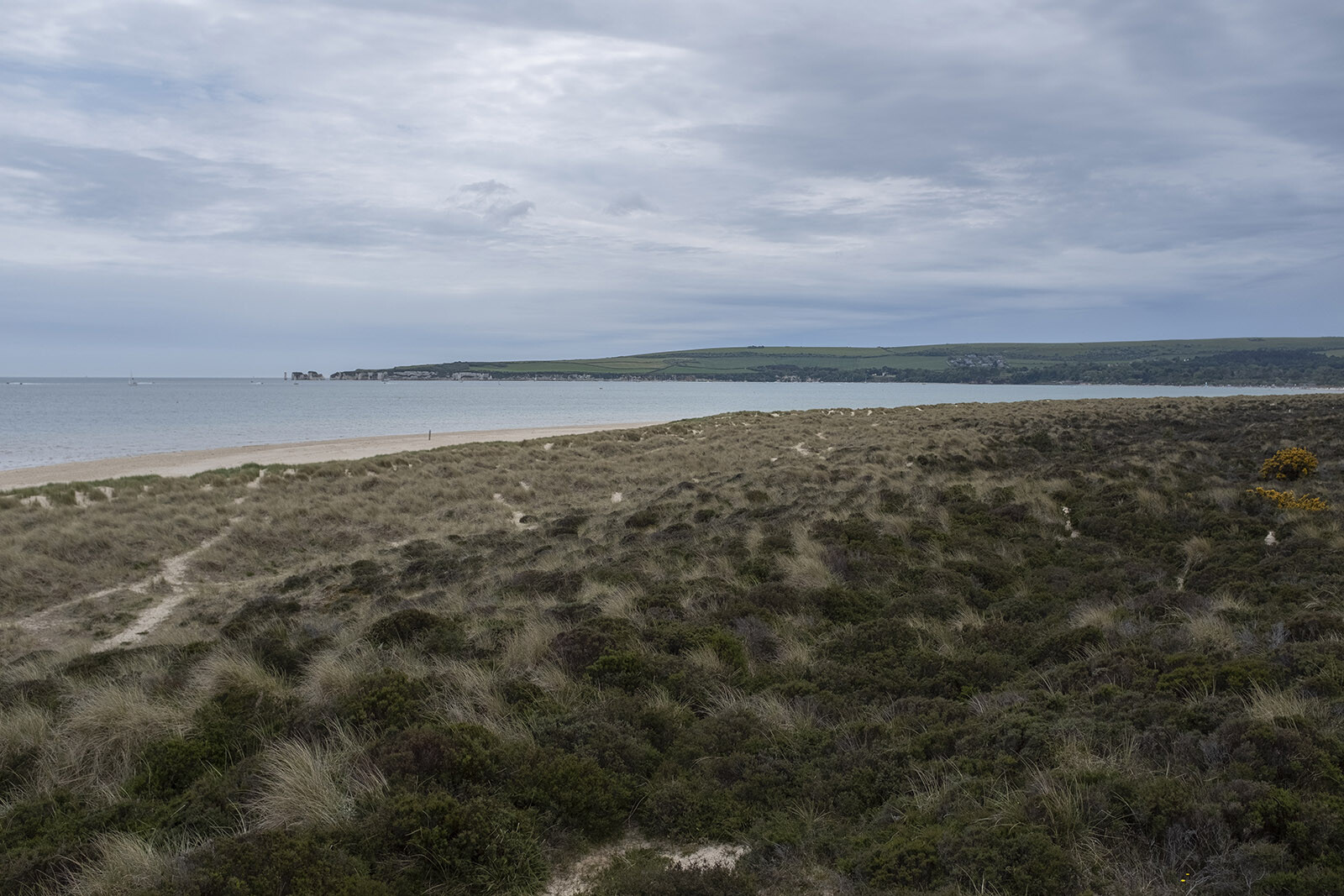 ArtStation - Coast Reference Photos | Resources