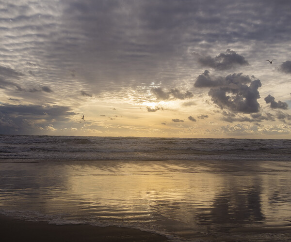 ArtStation - Coast Reference Photos | Resources