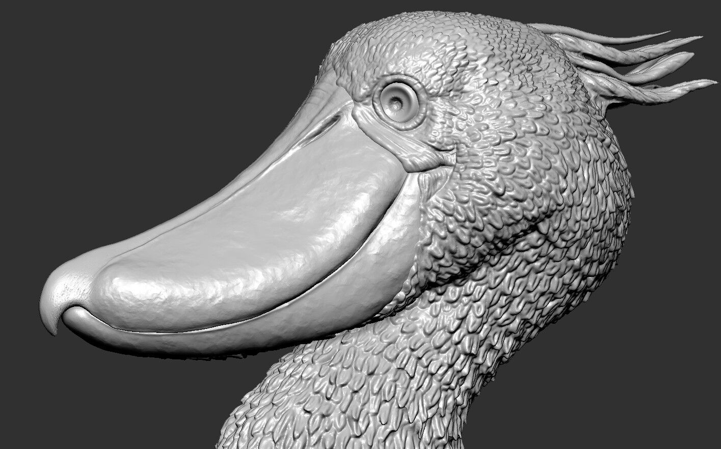 ArtStation - Shoebill | Resources