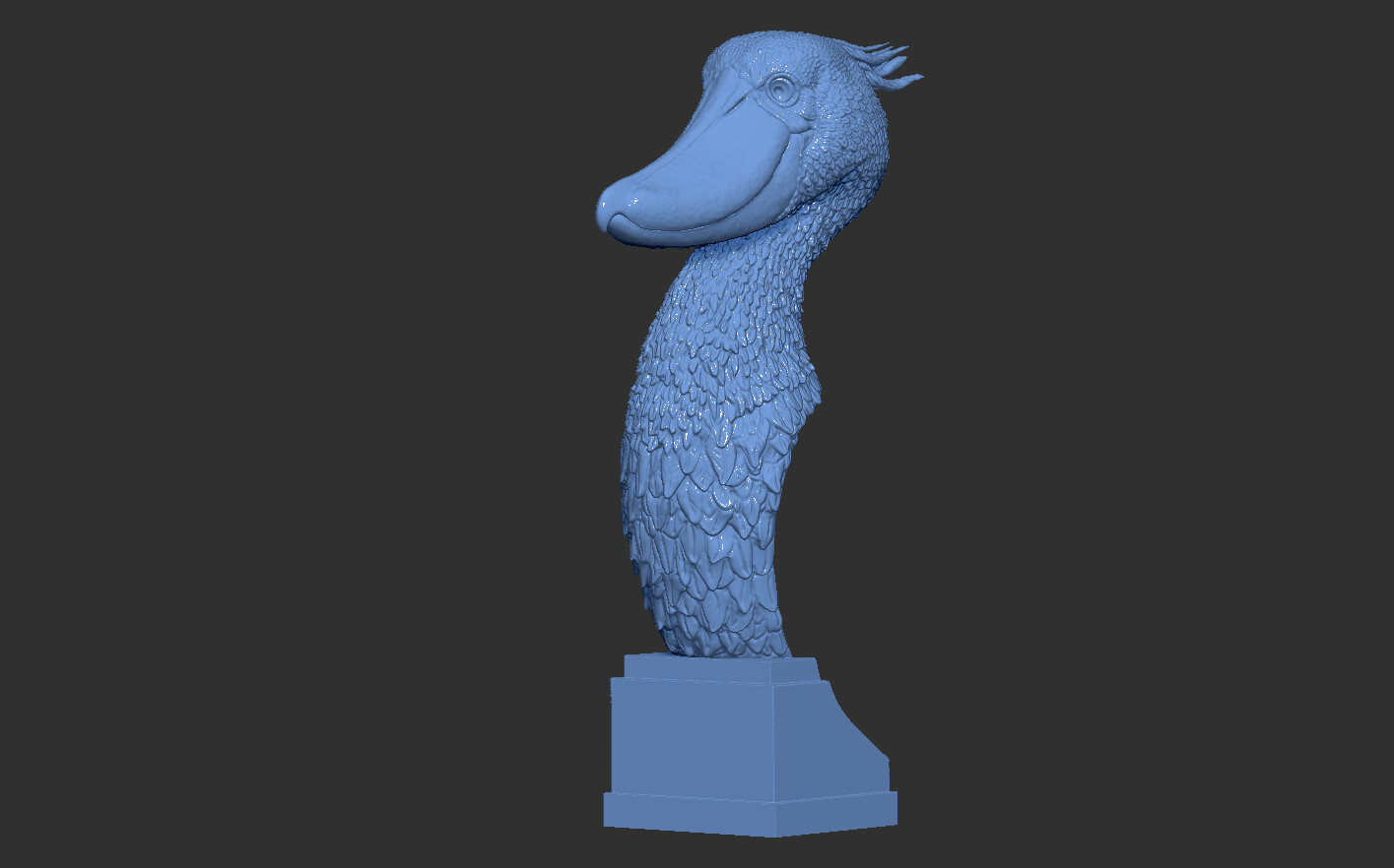 ArtStation - Shoebill | Resources