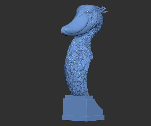 ArtStation - Shoebill | Resources