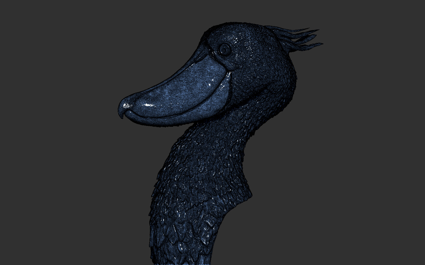 ArtStation - Shoebill | Resources