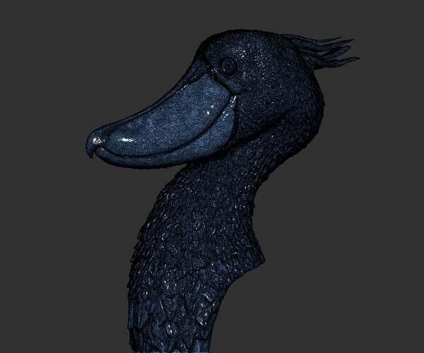 ArtStation - Shoebill | Resources