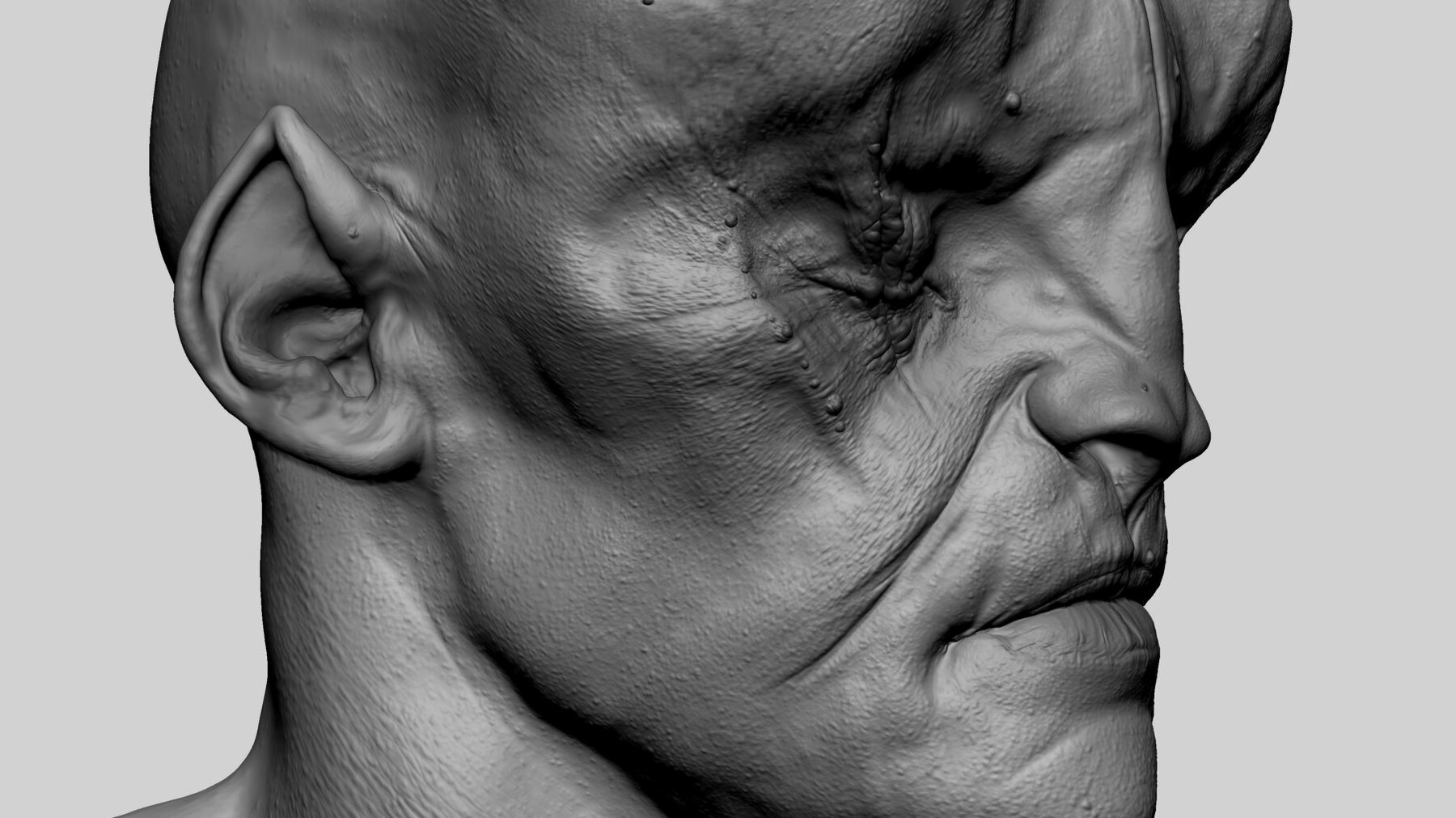 ArtStation - Creature Head 08 | Resources