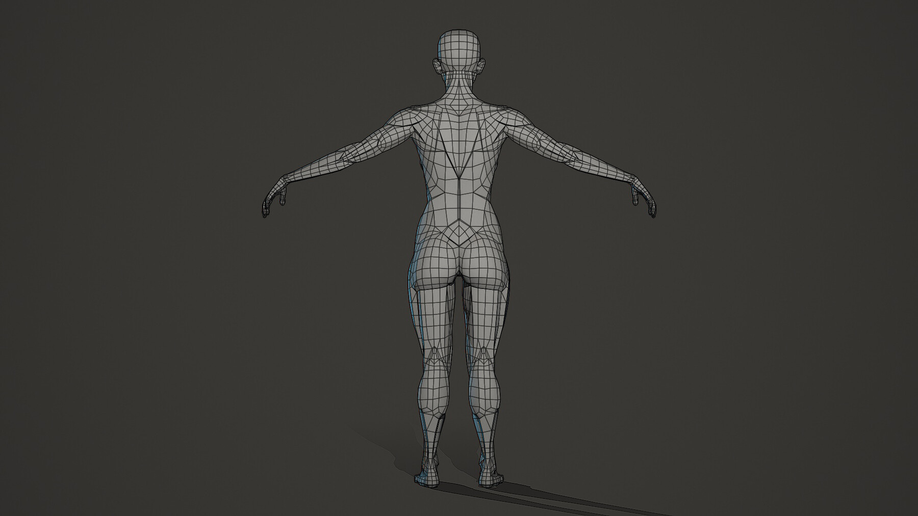 ArtStation - Character - Female Planar Anatomy | Resources