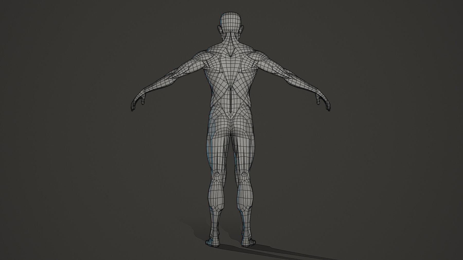 ArtStation - Character - Male Planar Anatomy | Resources