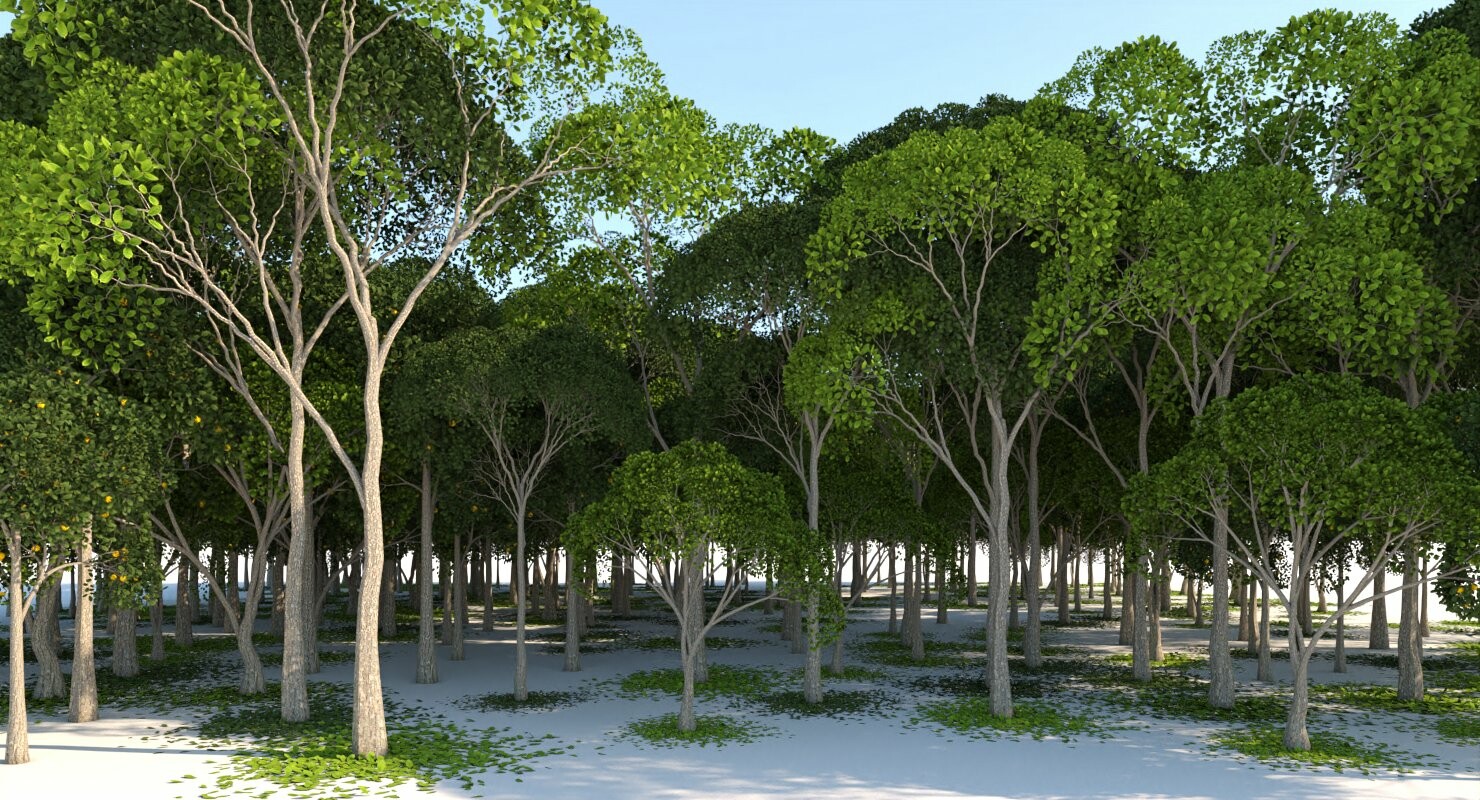 ArtStation - Generic Tree Generator HDA | Resources