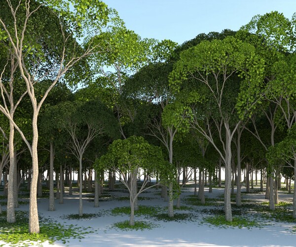 ArtStation - Generic Tree Generator HDA | Resources