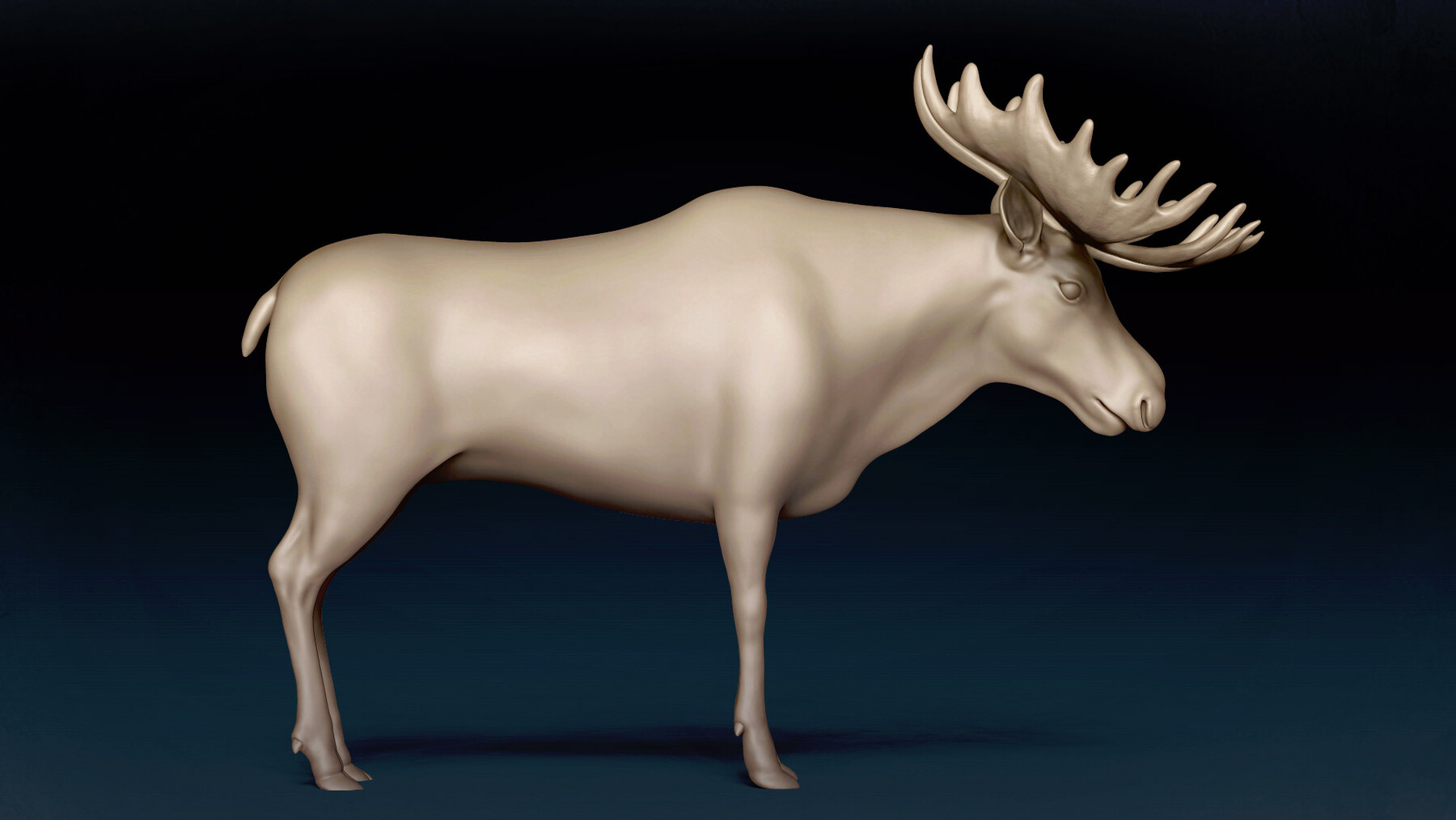 ArtStation - Moose Basemesh 3D model | Resources