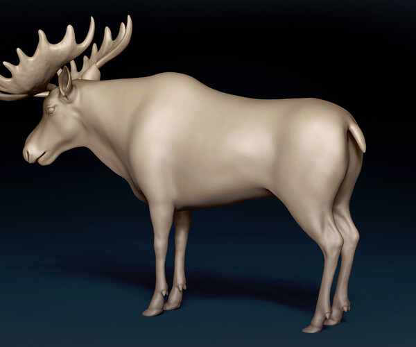 ArtStation - Moose Basemesh 3D model | Resources
