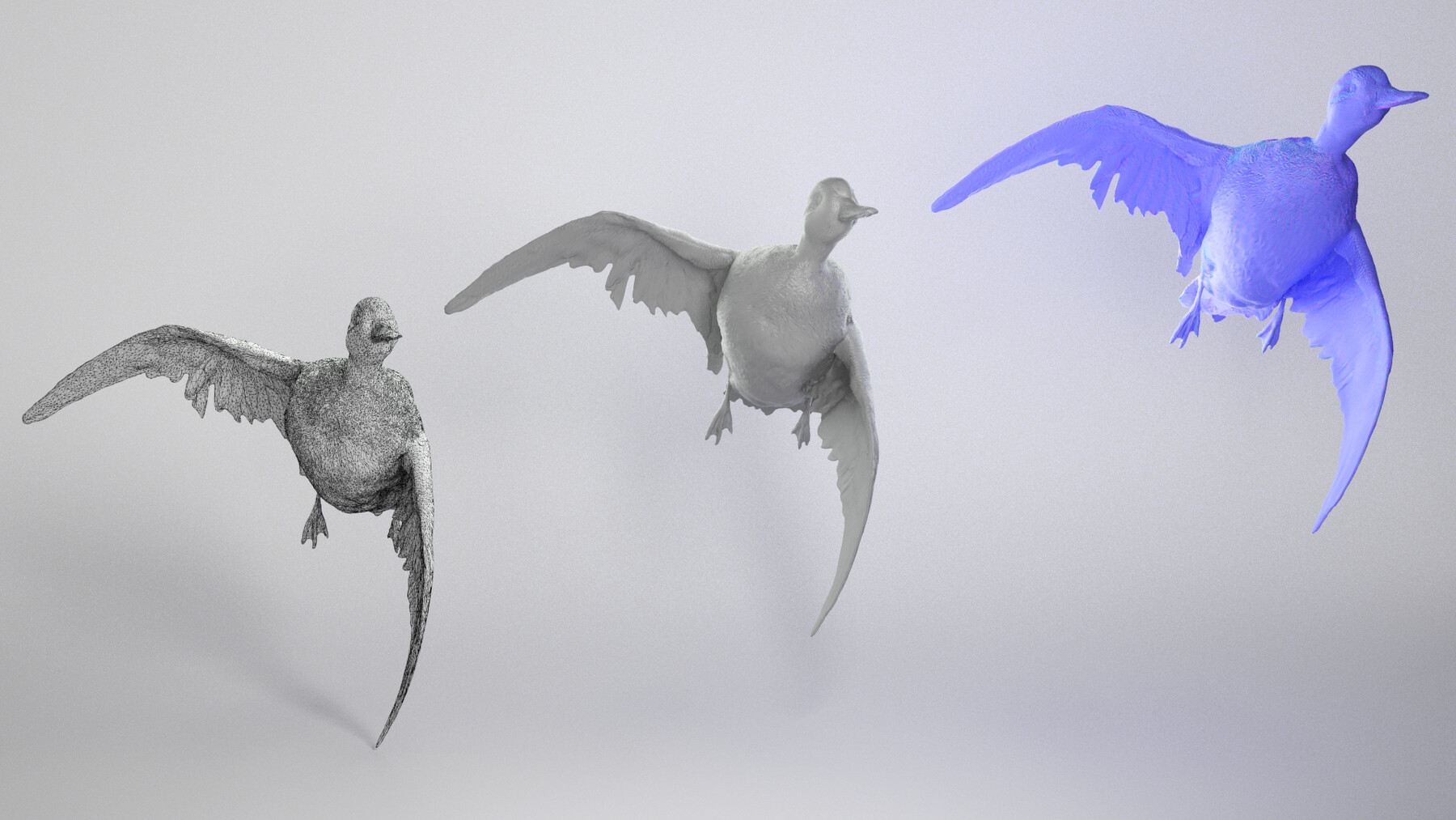 ArtStation - Flying duck 13 | Game Assets