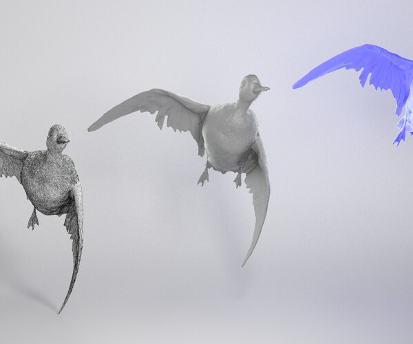 ArtStation - Flying duck 13 | Game Assets