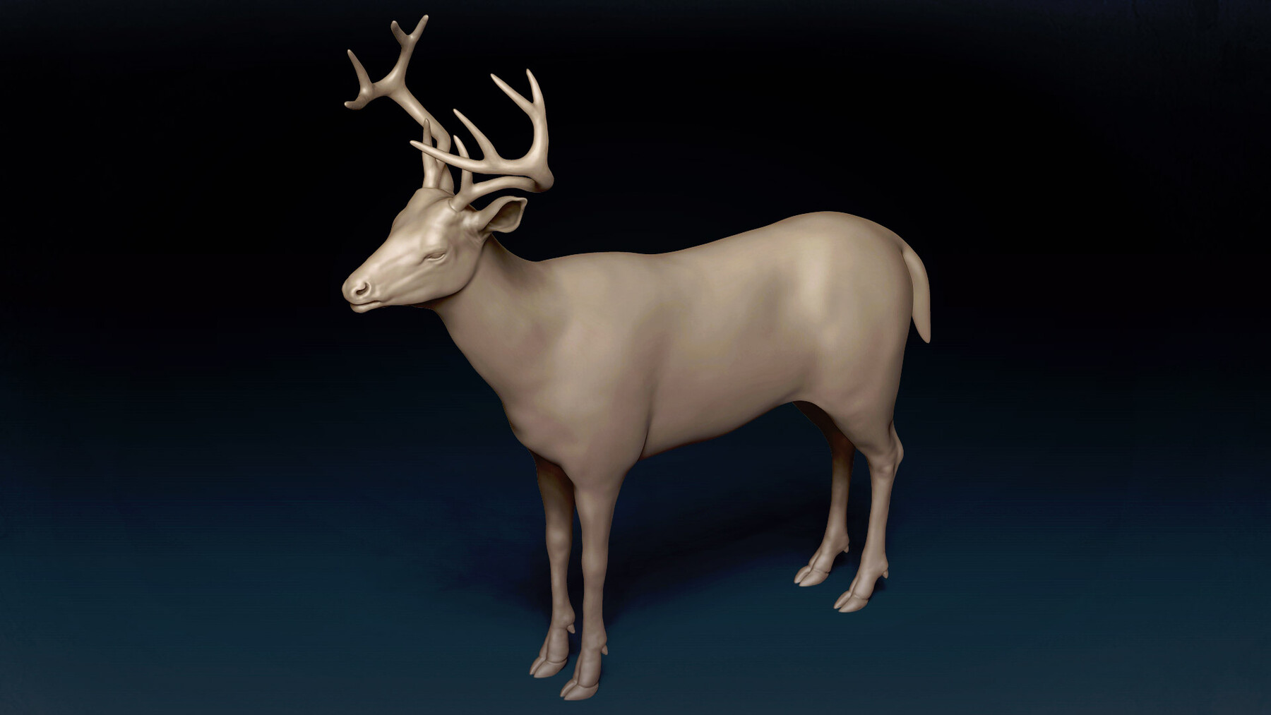ArtStation - White Tailed Deer Basemesh 3D model | Resources