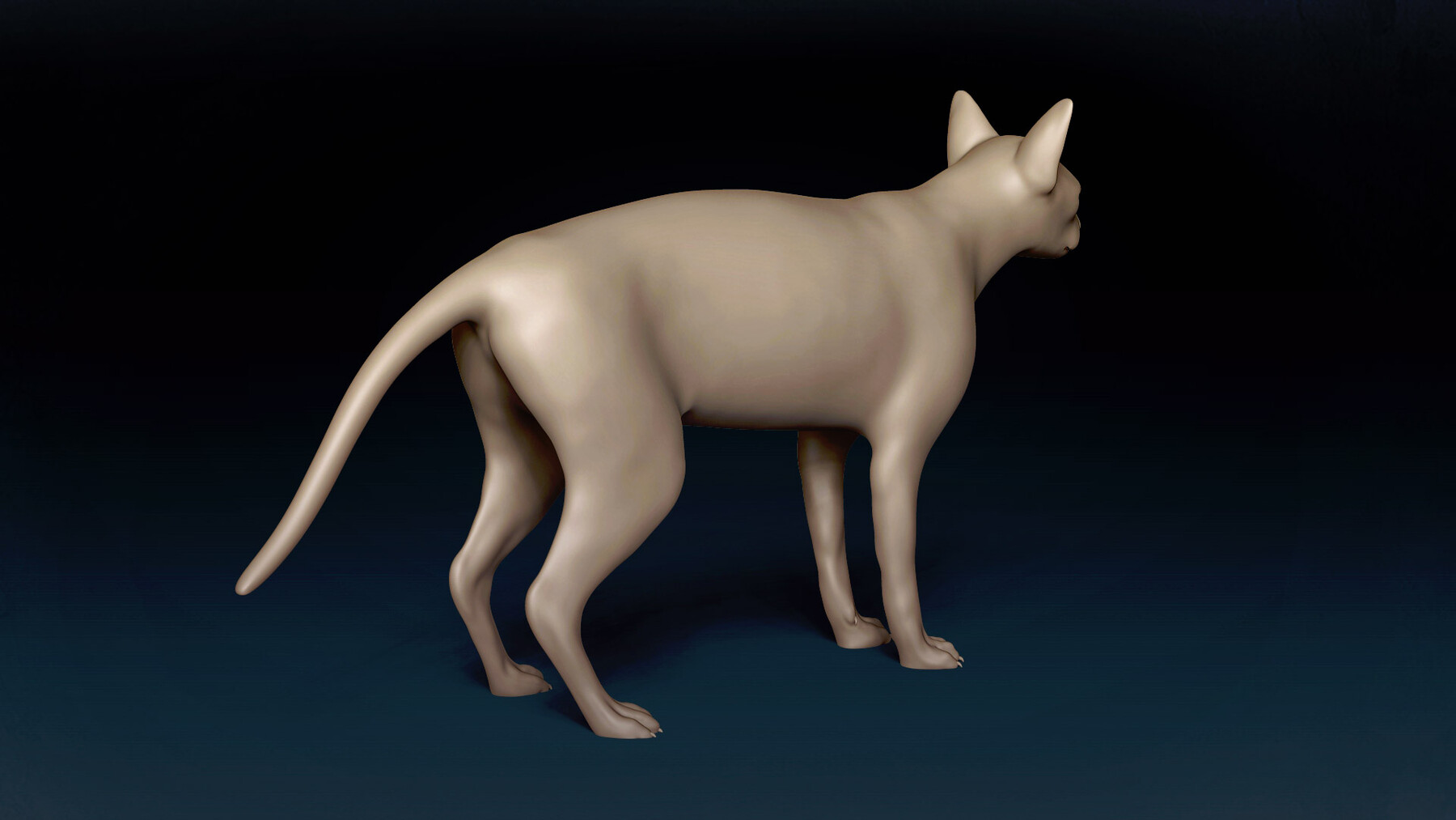 ArtStation - White Sphynx Cat Basemesh 3D model | Resources