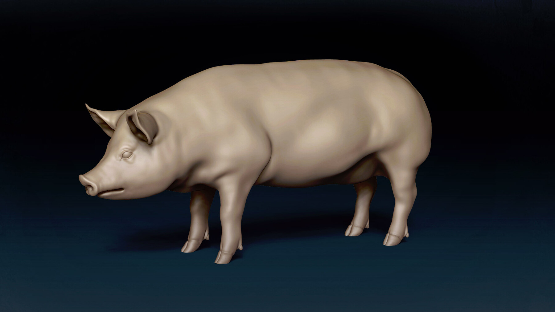 ArtStation - Pig Basemesh 3D model | Resources