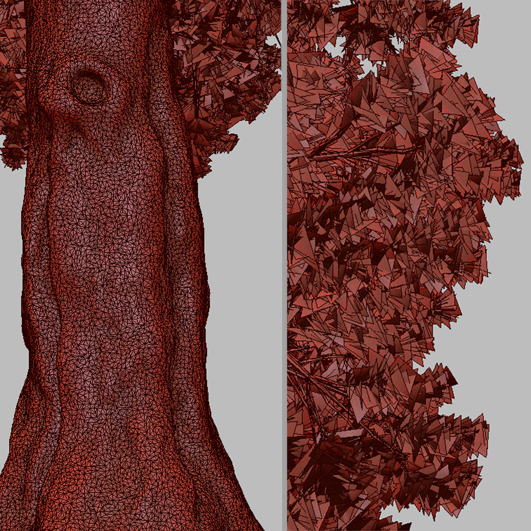 ArtStation - Set of Foxtail pine Tree (Pinus balfouriana) (2 Trees ...