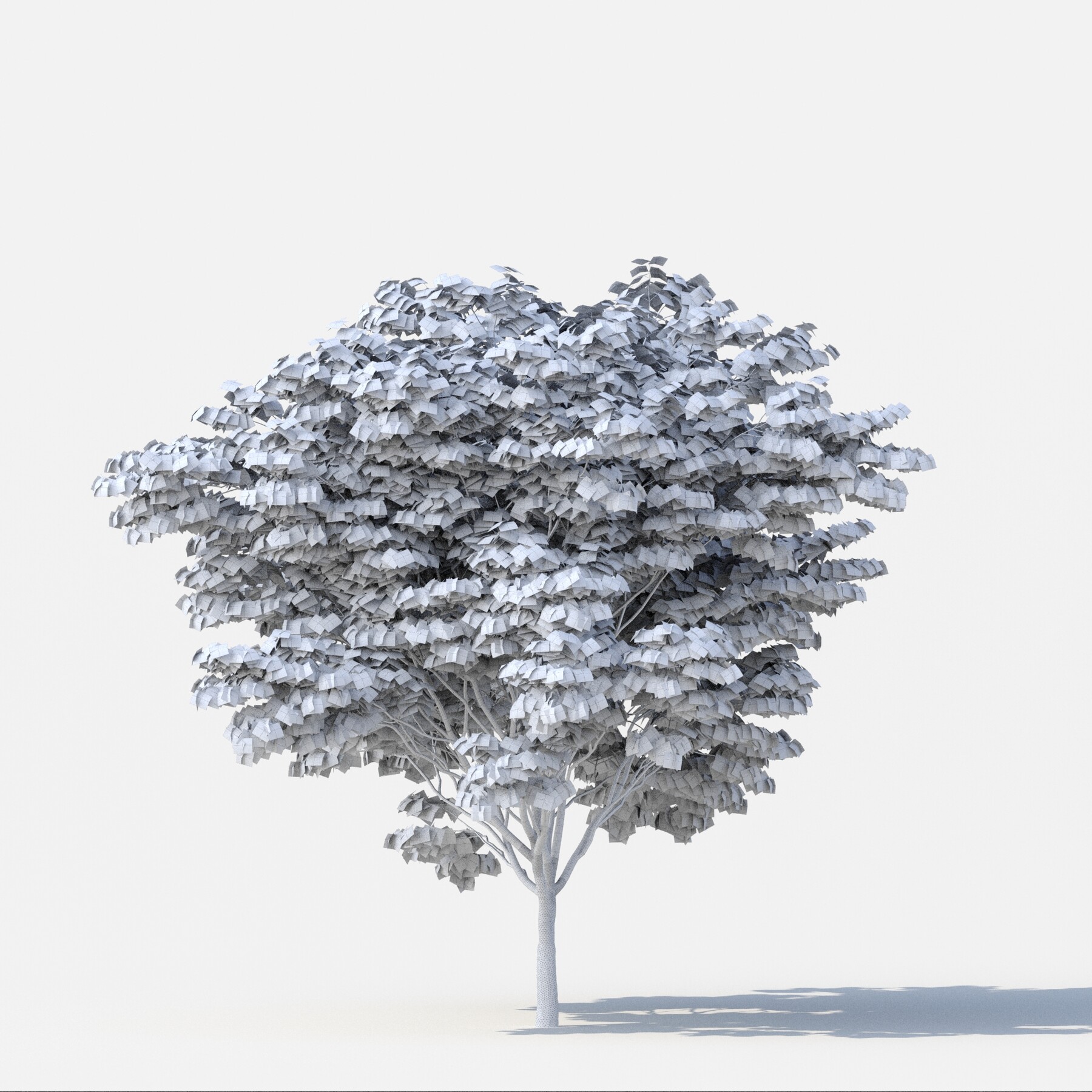 ArtStation - Tree - Acer Palmatum No 2 | Resources
