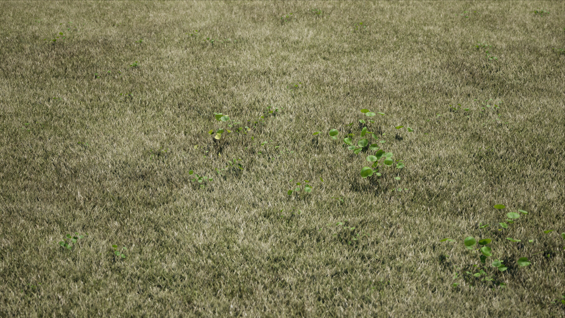 ArtStation - Lawn Grass (Unreal Engine 4 / UE4) | Game Assets