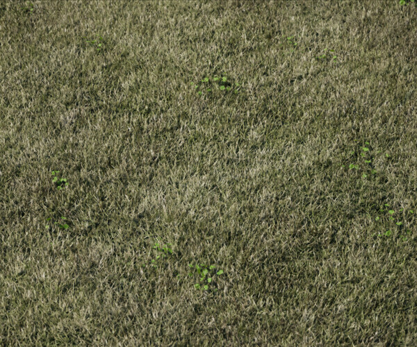 ArtStation - Lawn Grass (Unreal Engine 4 / UE4) | Game Assets