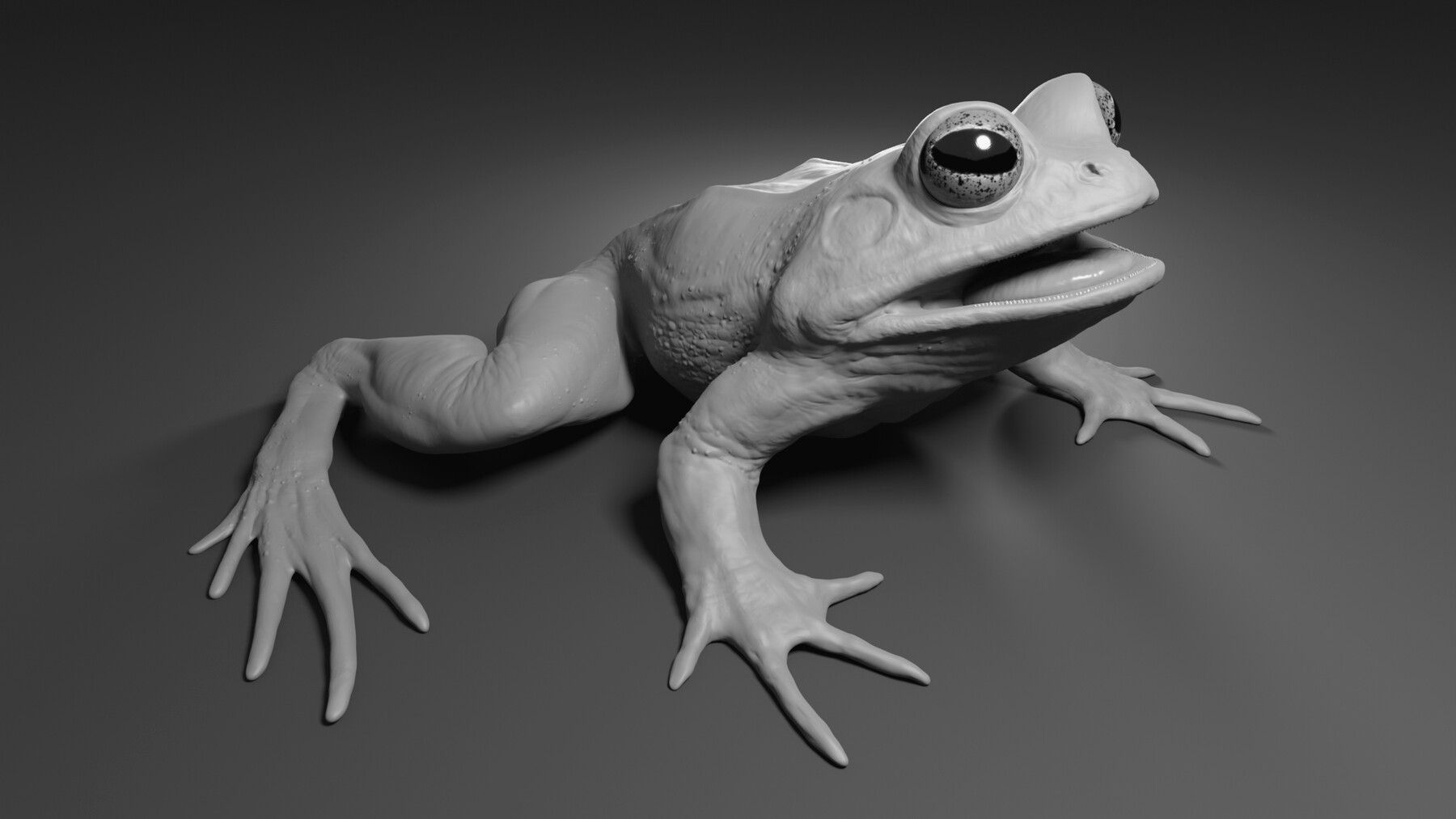 ArtStation - Frog basemesh | Resources