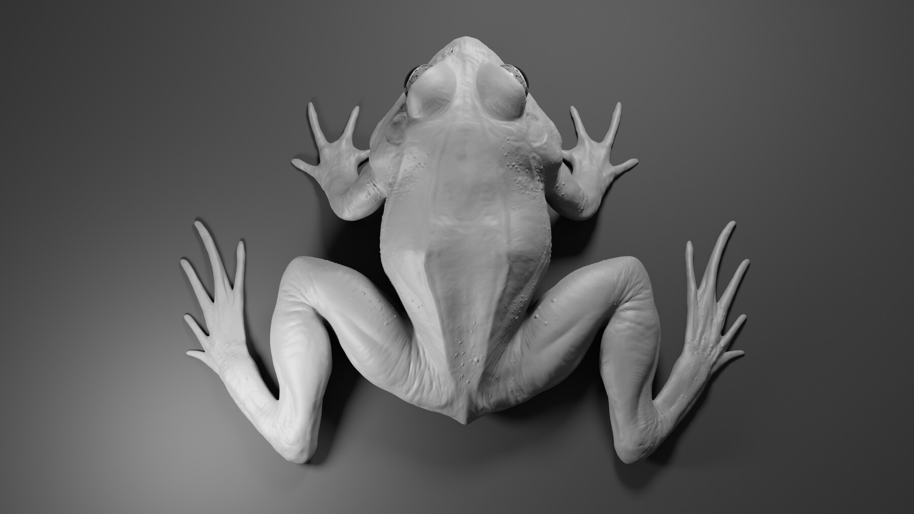 ArtStation - Frog basemesh | Resources