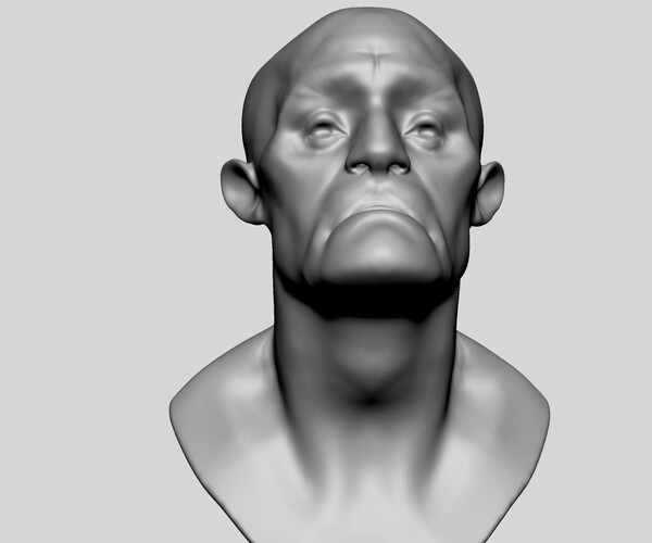 ArtStation - Stylized Head | Resources