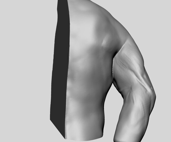 ArtStation - Shoulder Printable | Resources