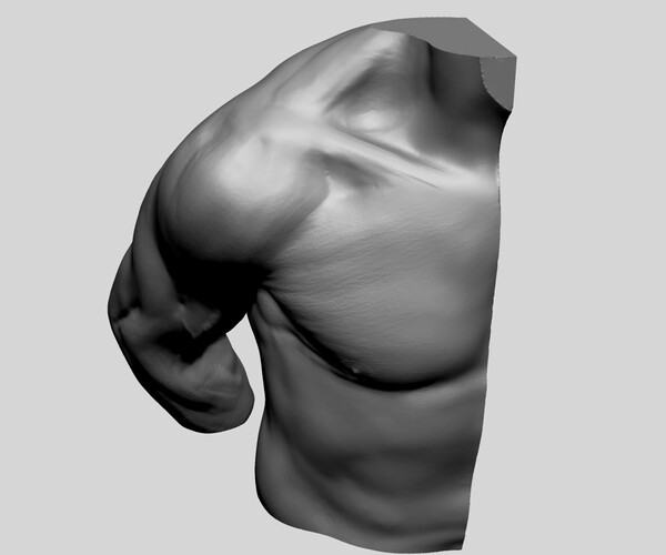 ArtStation - Shoulder Printable | Resources