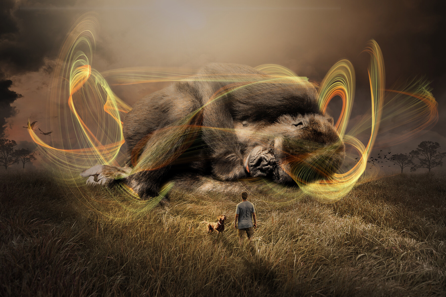 ArtStation - 50 Fantasy Photo Overlays - Vol. 2 | Resources