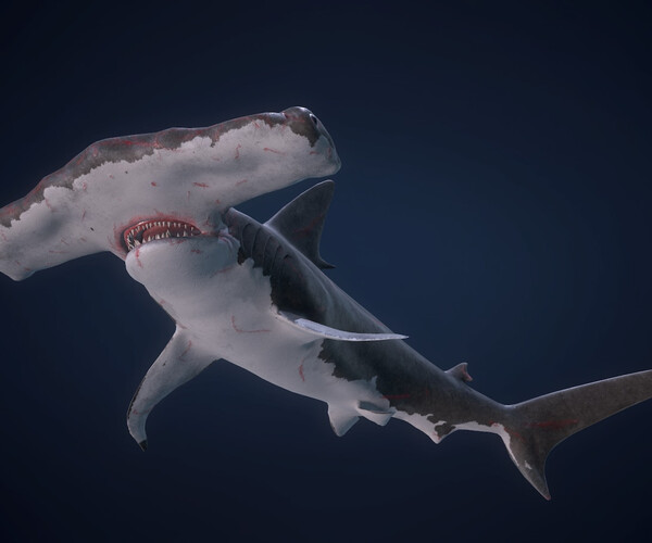 ArtStation - Hammerhead Shark - Game Ready | Game Assets