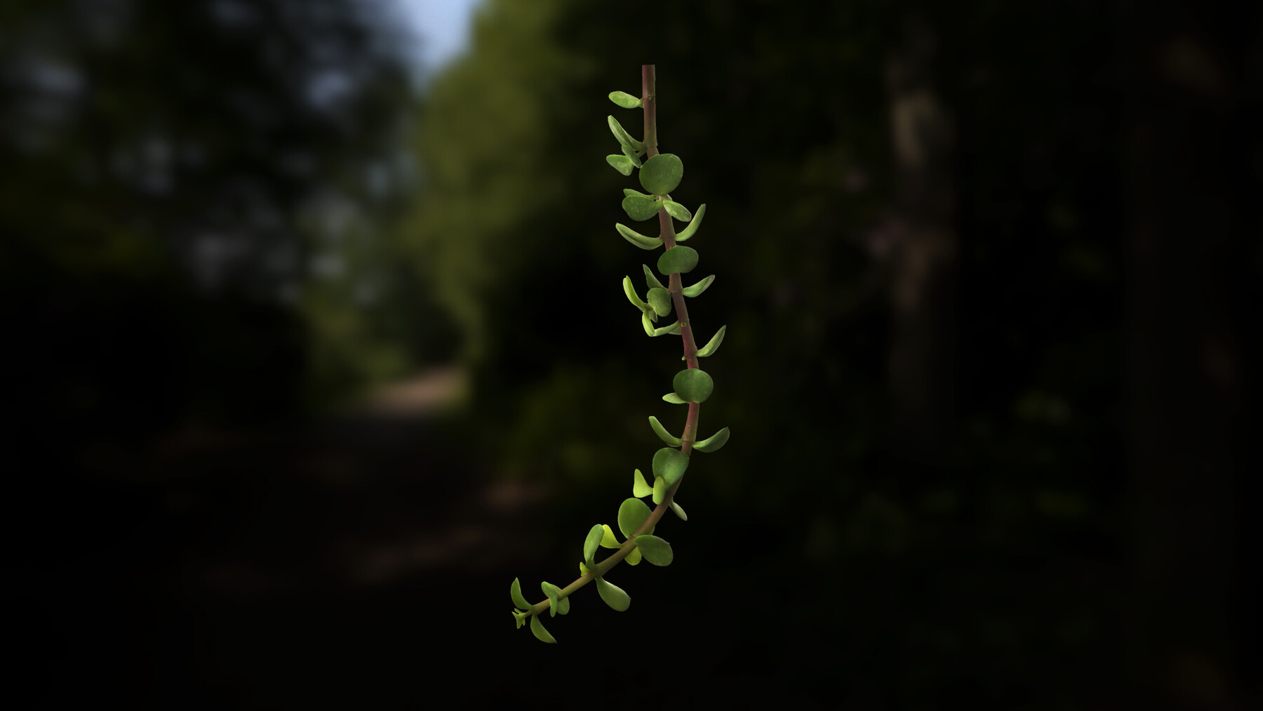 ArtStation - Leaf Pack- PBR Texture with Alpha Map - Vol.1 | Resources