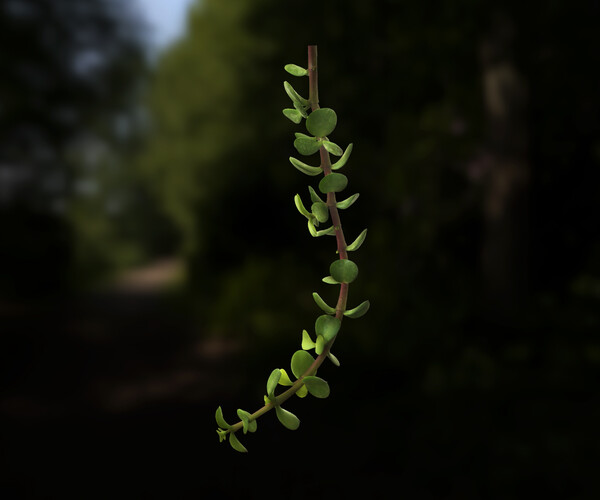 ArtStation - Leaf Pack- PBR Texture with Alpha Map - Vol.1 | Resources