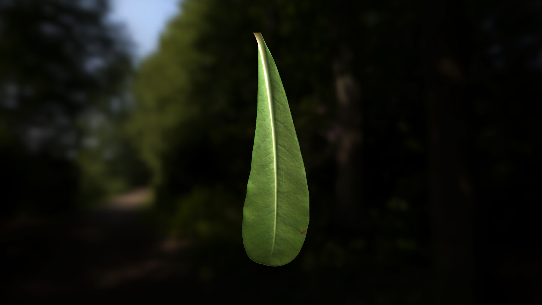 ArtStation - Leaf Pack- PBR Texture with Alpha Map - Vol.1 | Resources