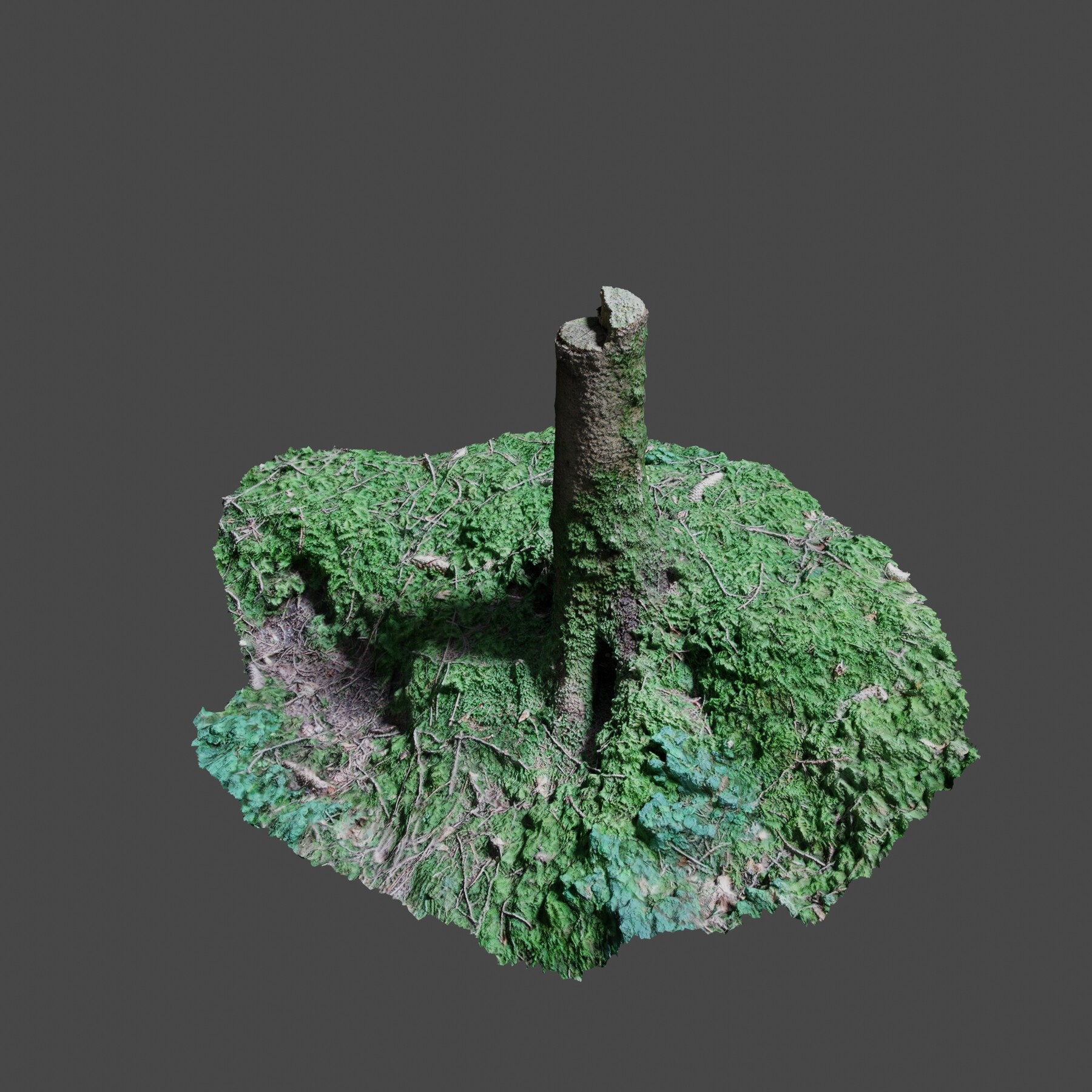 ArtStation - Tree Stump 1 | Game Assets