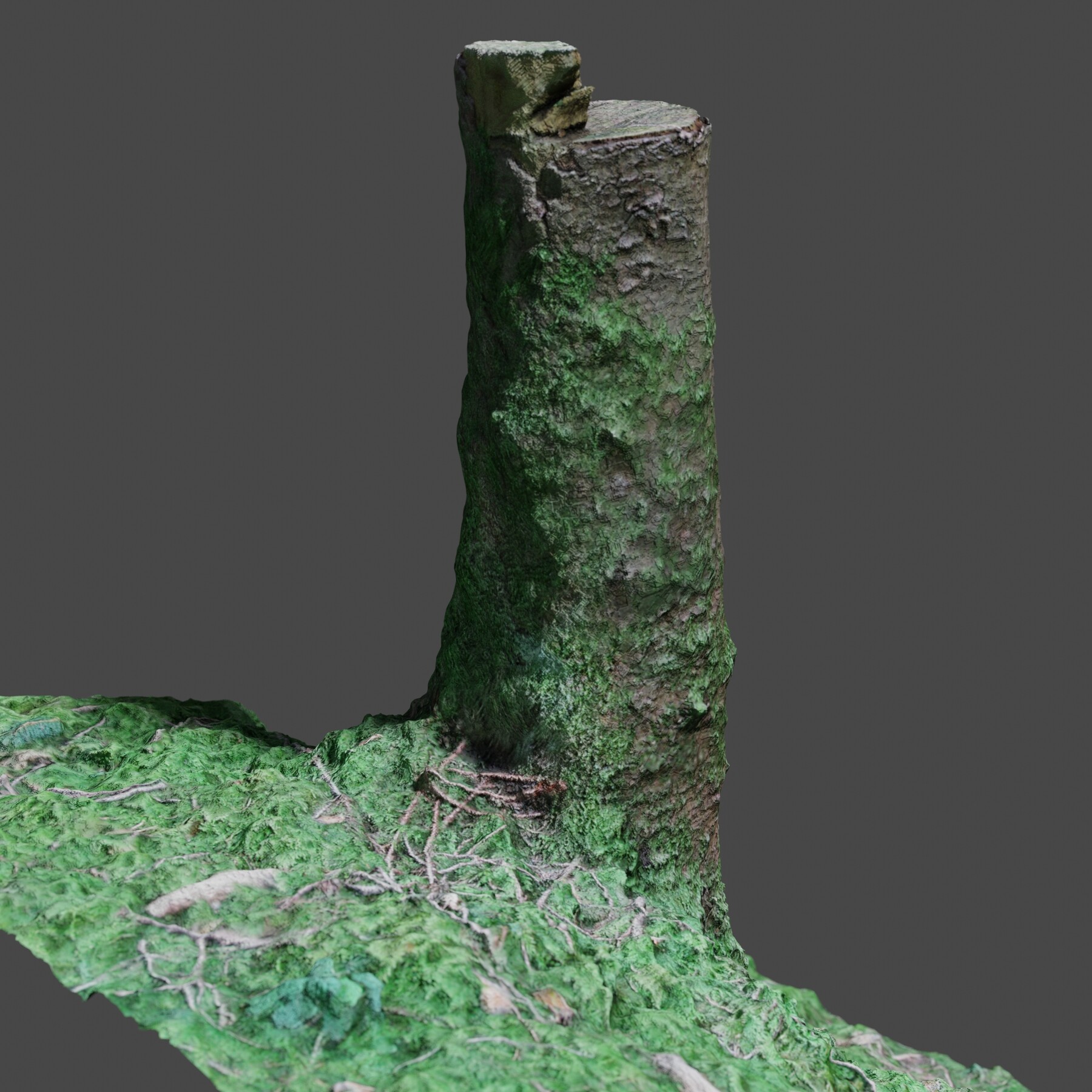 ArtStation - Tree Stump 1 | Game Assets
