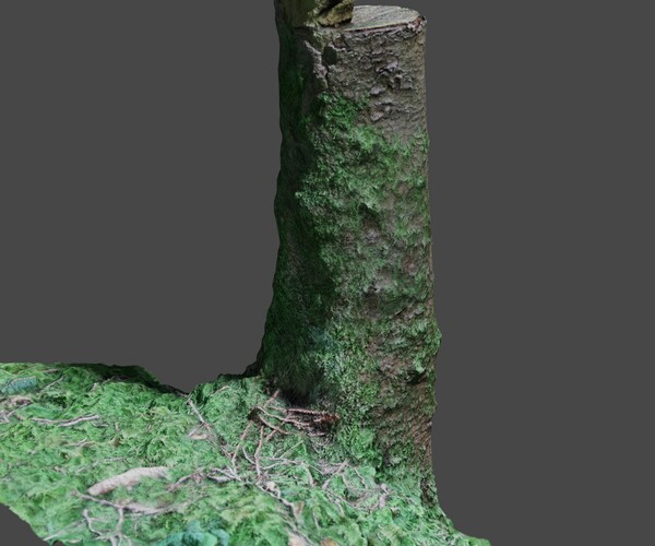 ArtStation - Tree Stump 1 | Game Assets