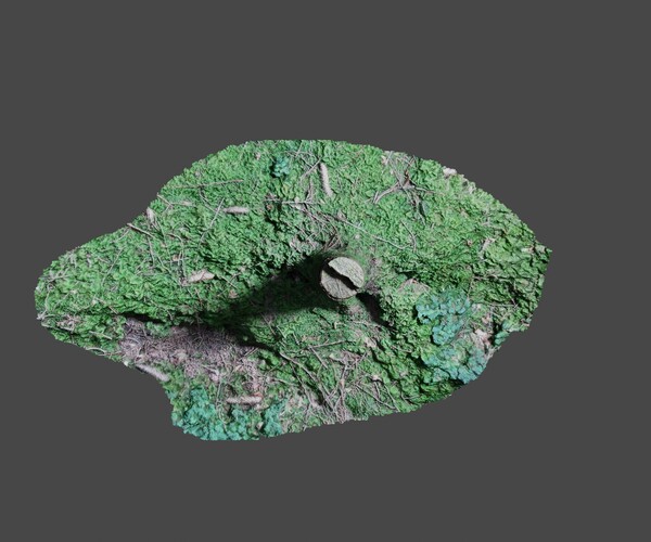 ArtStation - Tree Stump 1 | Game Assets