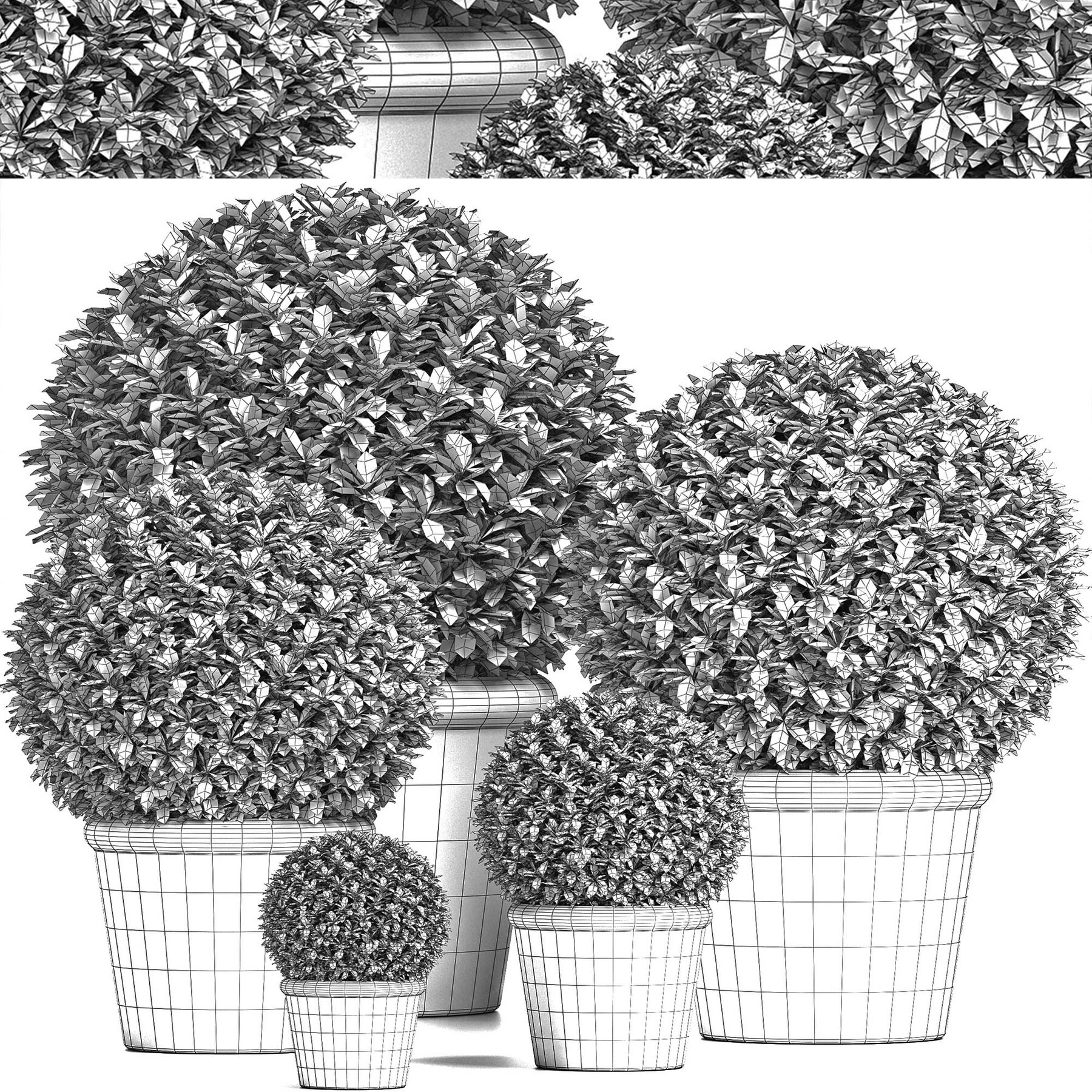 ArtStation - Preserved Boxwood Globe RH - Indoor Plant 219 | Resources