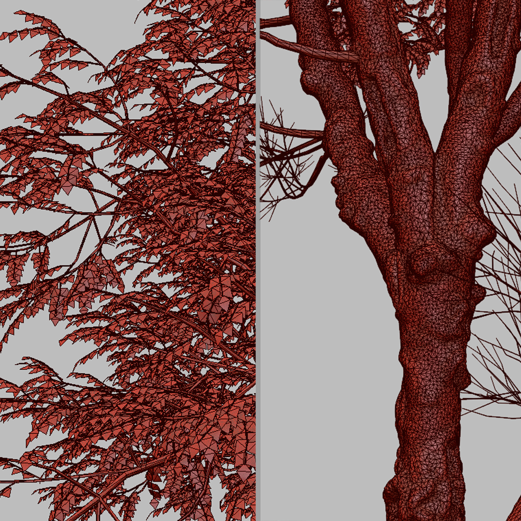 ArtStation - Set of Ghaf Tree (Prosopis cineraria) (2 Trees) | Resources