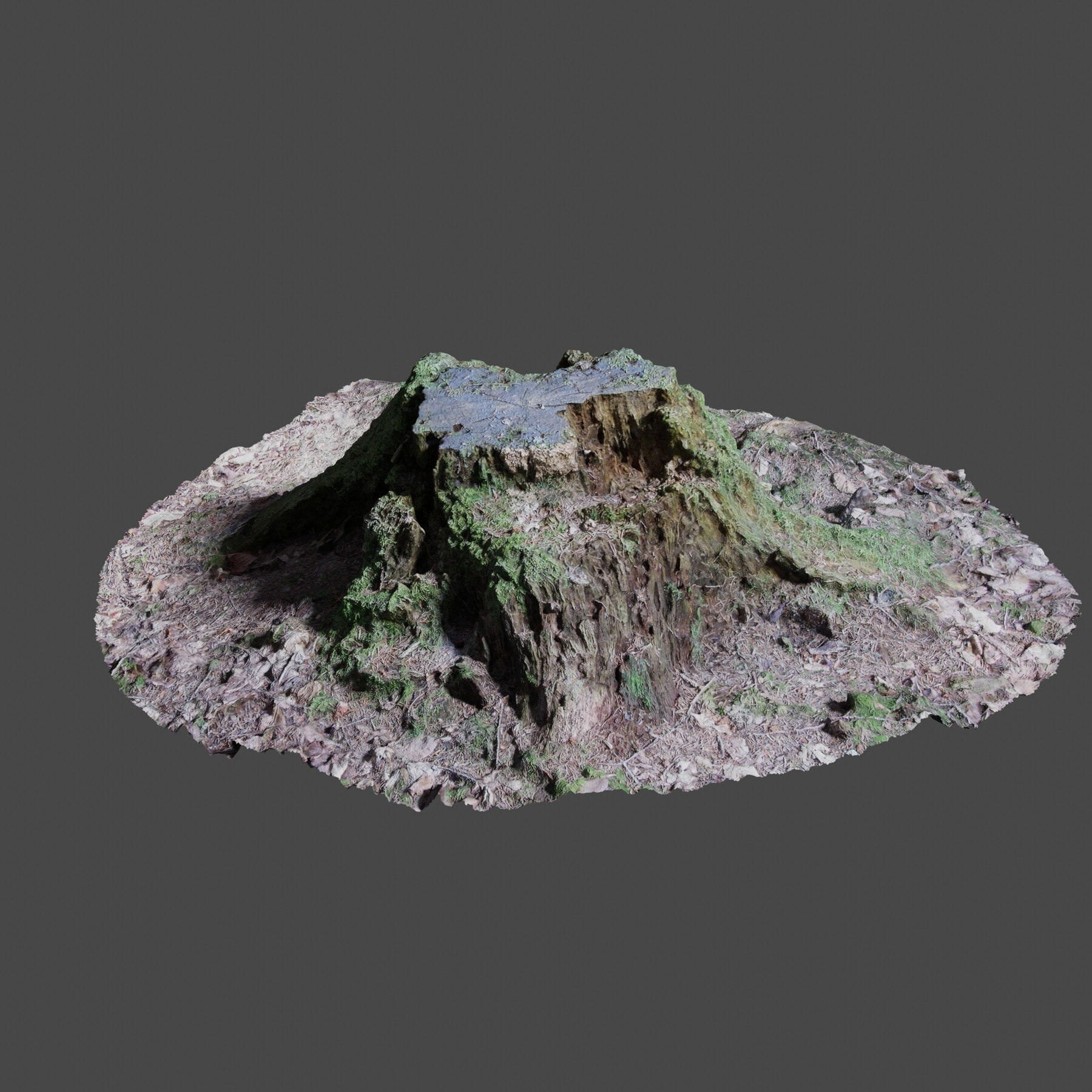 ArtStation - Tree Stump 2 - Photoscan | Game Assets