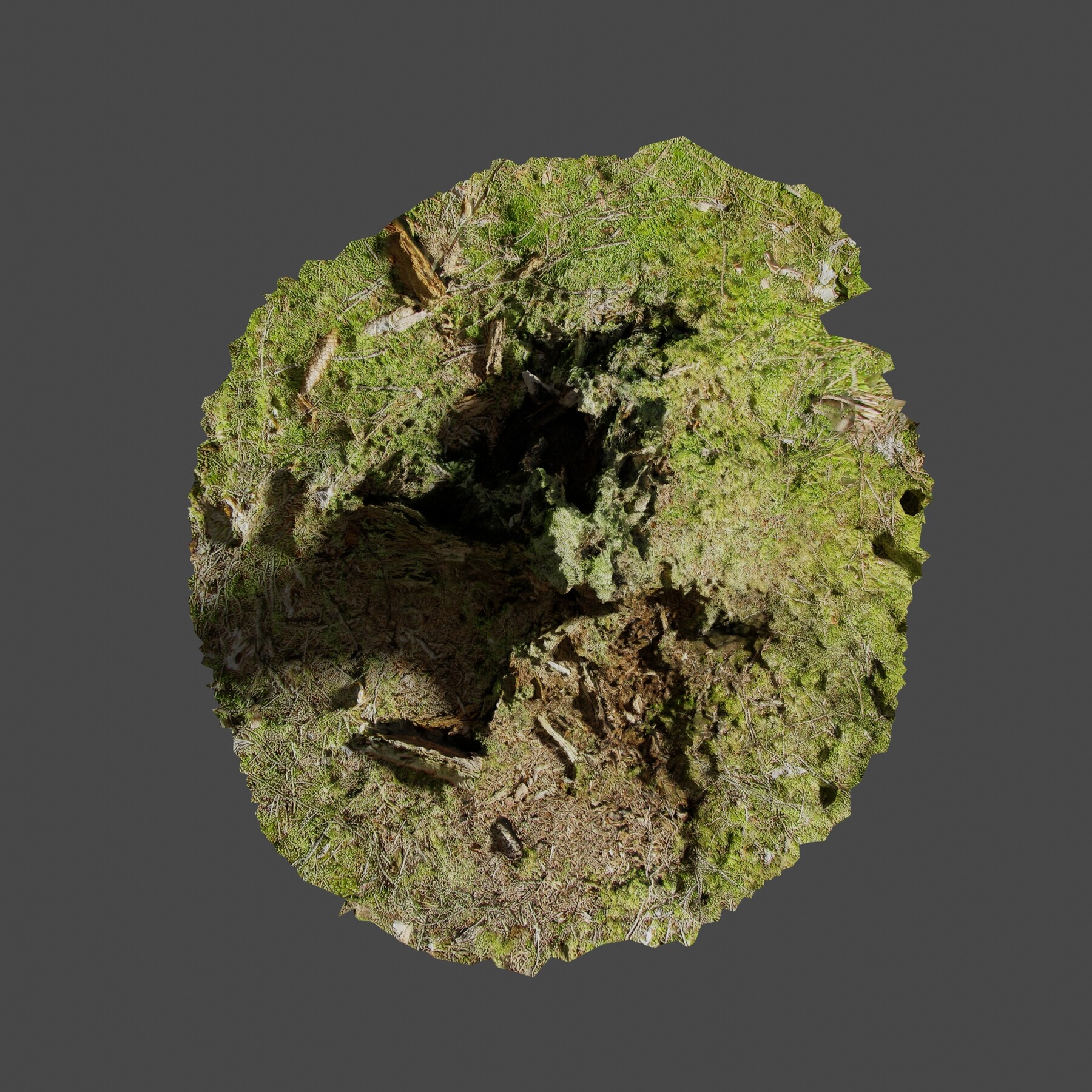 ArtStation - Tree Stump 3 - Photoscan | Game Assets