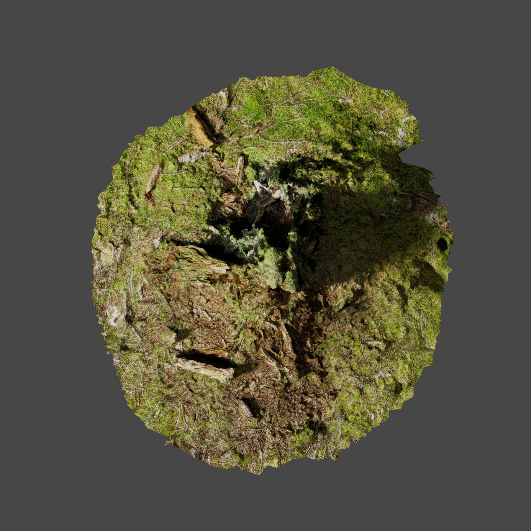 ArtStation - Tree Stump 3 - Photoscan | Game Assets