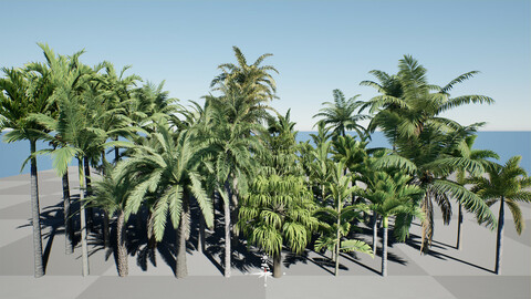 ArtStation - HQ Plants Volume 5 Palms for unreal engine 3D model set of 24 | Game Assets