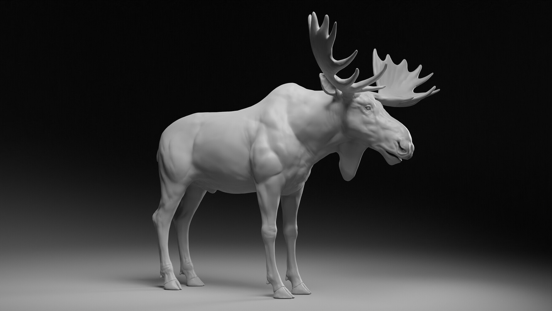 ArtStation - Moose basemesh | Resources