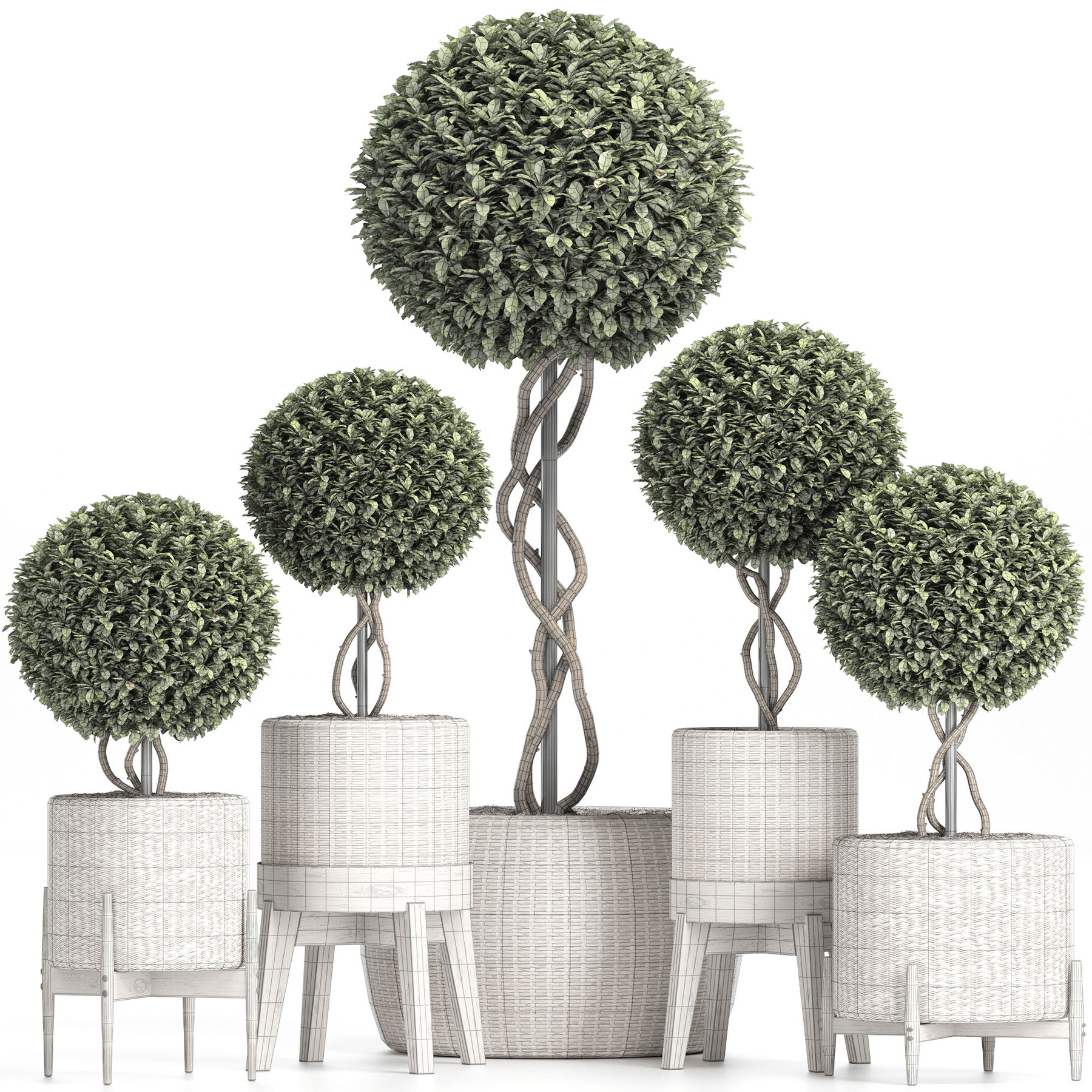 ArtStation - Wicker Woven Tree Topiary - Indoor Plant 222 | Resources
