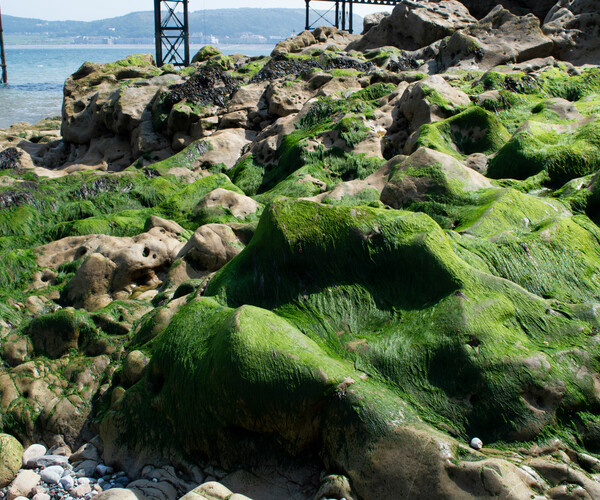 ArtStation - Coastal Reference Pack | Resources