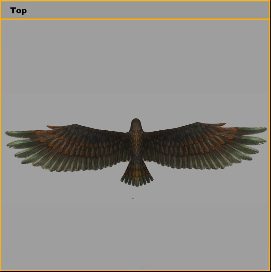 ArtStation - Low poly 3D Monster - Hawk | Game Assets